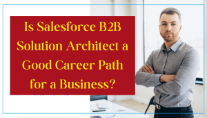 Salesforce B2B Solution Architect Role: To Elevate Your Career